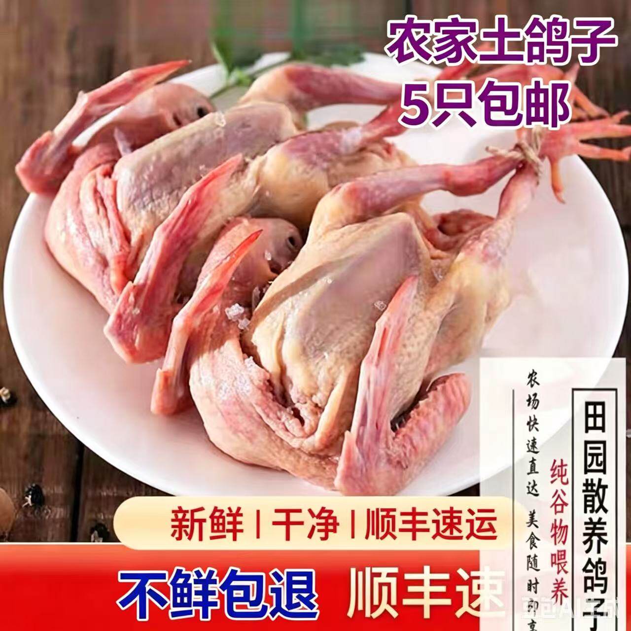 新鲜鸽子肉肉鸽顺丰包邮正宗土鸽煲汤营养鸽子农家散养土鸽子乳鸽