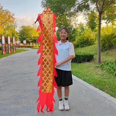 舞龙彩带健身龙旗儿童手甩龙学校健身学生表演做操舞龙耍龙彩绸