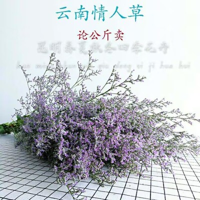 云南勿忘我情人草干花花束鲜花真花家庭家居装饰摆设插花花卉礼物