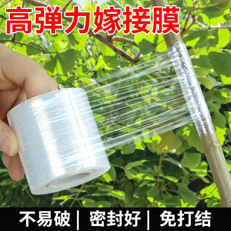 嫁接膜专用膜PE无需打结薄膜自粘式园林果树嫁接胶带包扎带缠绕膜