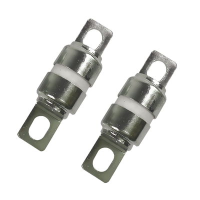 泰矽TAISEE电力调整器保险 RGS11 250V 50A 调整器保险管 正品