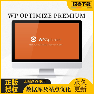 WP Optimize Premium插件 WP站点内容数据库清理加速插件原版激活