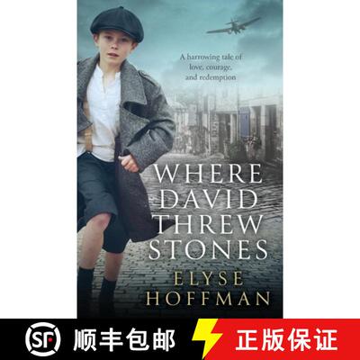 【3-4周达】Where David Threw Stones [9781952742095]