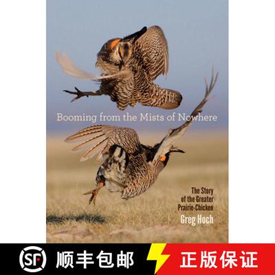 预订 Booming from the Mists of Nowhere: The Story of the Greater Prairie-Chicken [9781609383879]