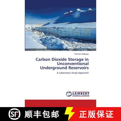 预订 Carbon Dioxide Storage in Unconventional Underground Reservoirs [9783659454615]