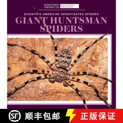 【3-4周达】Giant Huntsman Spiders [9781725351264]