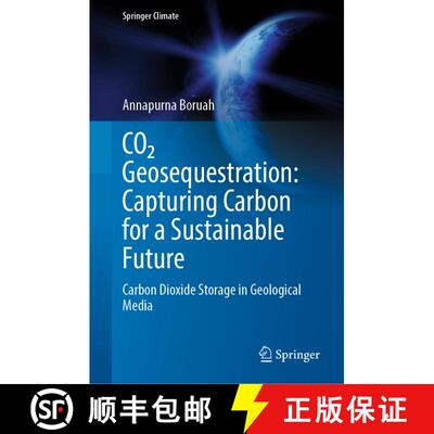 【3-4周达】Co₂ Geosequestration: Capturing Carbon for a Sustainable Future: Carbon Dioxide Stor... [9783031810206]