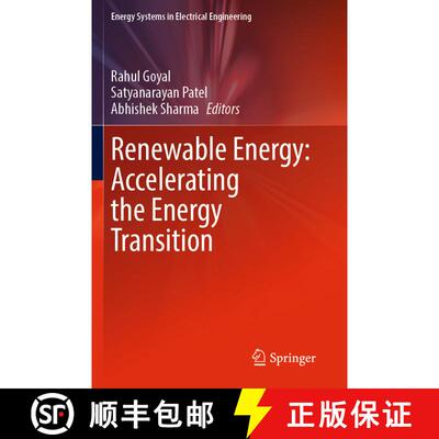 【3-4周达】Renewable Energy: Accelerating the Energy Transition [9789819961184]