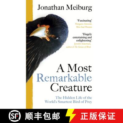 【3-4周达】A Most Remarkable Creature : The Hidden Life of the Worlds Smartest Bird of Prey [9781784701550]