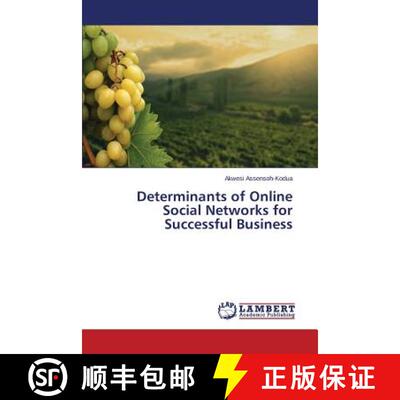 预订 Determinants of Online Social Networks for Successful Business [9783659694165]