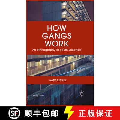 【3-4周达】How Gangs Work: An Ethnography of Youth Violence (1st ed. 2013) [9781137572936]