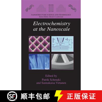 【3-4周达】Electrochemistry at the Nanoscale [9781489986603]