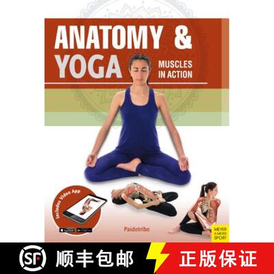 【3-4周达】Anatomy & Yoga: Muscles in Action [9781782551522]