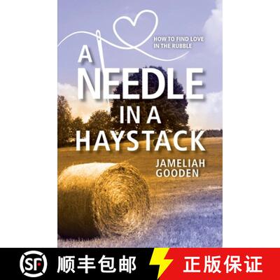 【3-4周达】A Needle in a Haystack: How to Find Love in the Rubble [9781954614727]