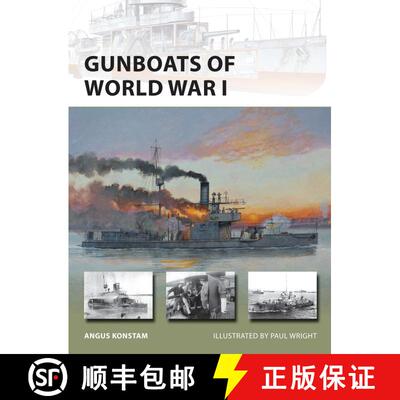 【3-4周达】Gunboats of World War I [9781472804983]