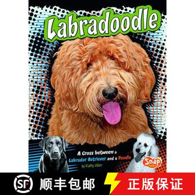 预订 精装 Labradoodle: A Cross Between a Labrador Retriever and a Poodle [9781429676663]
