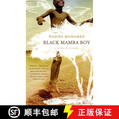 【3-4周达】Black Mamba Boy [9780312569235]