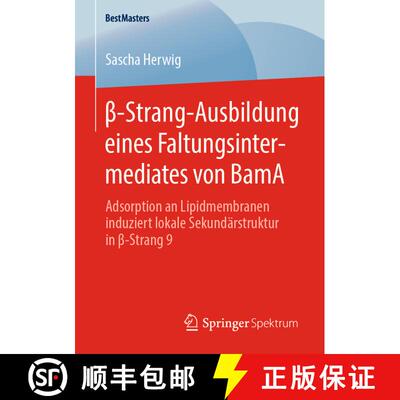 【3-4周达】β-Strang-Ausbildung Eines Faltungsintermediates Von Bama: Adsorption an Lipidmembrane... [9783658290283]