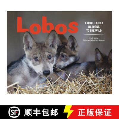 【3-4周达】Lobos: A Wolf Family Returns to the Wild [9781632170842]