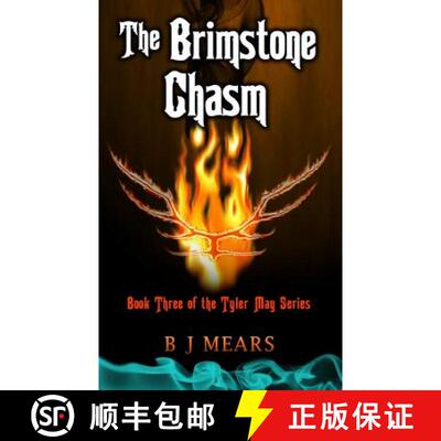 【3-4周达】The Brimstone Chasm: Book Three of the Tyler May series [9780957412446]