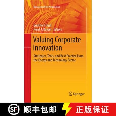 【3-4周达】Valuing Corporate Innovation: Strategies, Tools, and Best Practice From the Energy and Tec... [9783319878904]