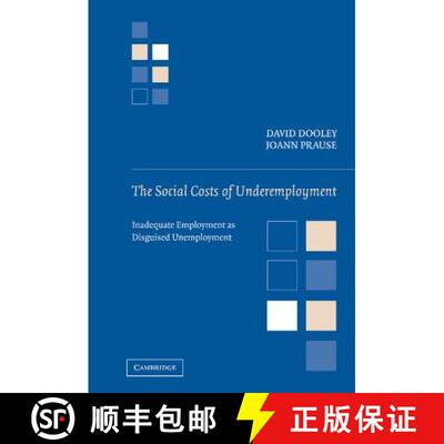 【3-4周达】精装 The Social Costs of Underemployment: Inadequate Employment as Disguised Unemployment [9780521810142]
