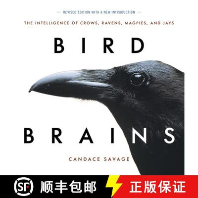 预订 Bird Brains : The Intelligence of Crows, Ravens, Magpies, and Jays [9781771644259]