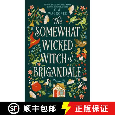 预订 The Somewhat Wicked Witch of Brigandale [9798217188239]