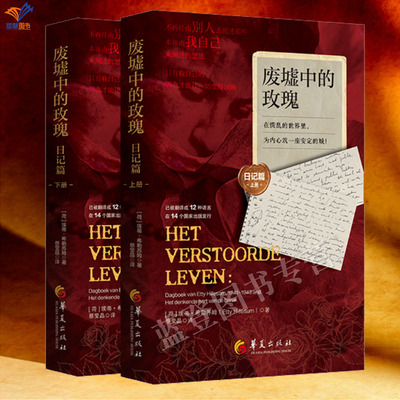新书废墟中的玫瑰日记篇上下册正