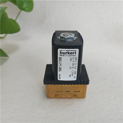 议价burkert宝德 6013 电磁阀125301  125304 125306 FKM密封 常