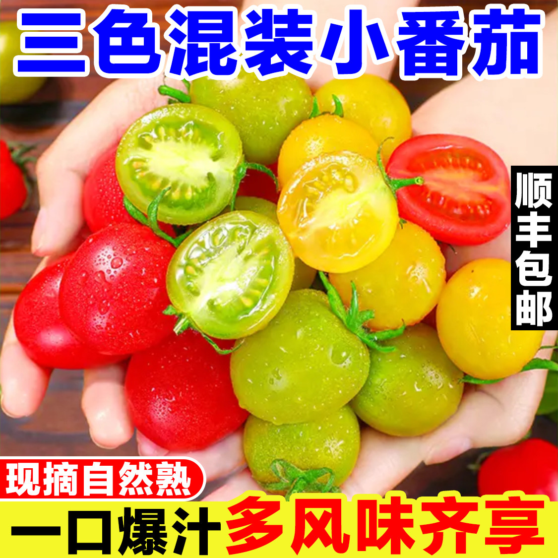 三色混装小番茄新鲜圣女果现摘青甜2号夏日阳光千禧果小柿子整箱