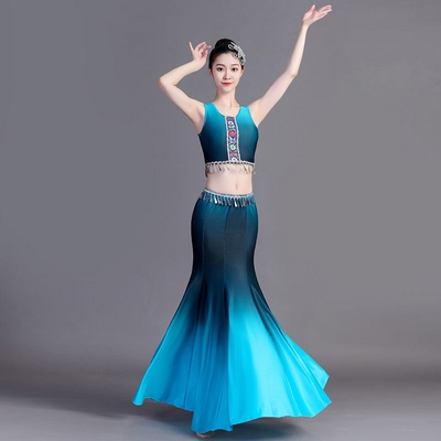 傣族舞蹈服装女成人演出服