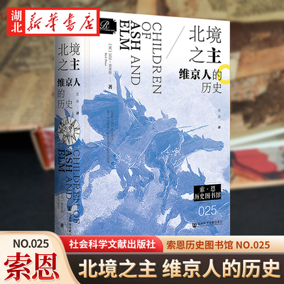 索恩 历史图书馆025 北境之主：维京人的历史 索恩 [英]尼尔·普莱斯（Neil Price）/著 庞唐/译