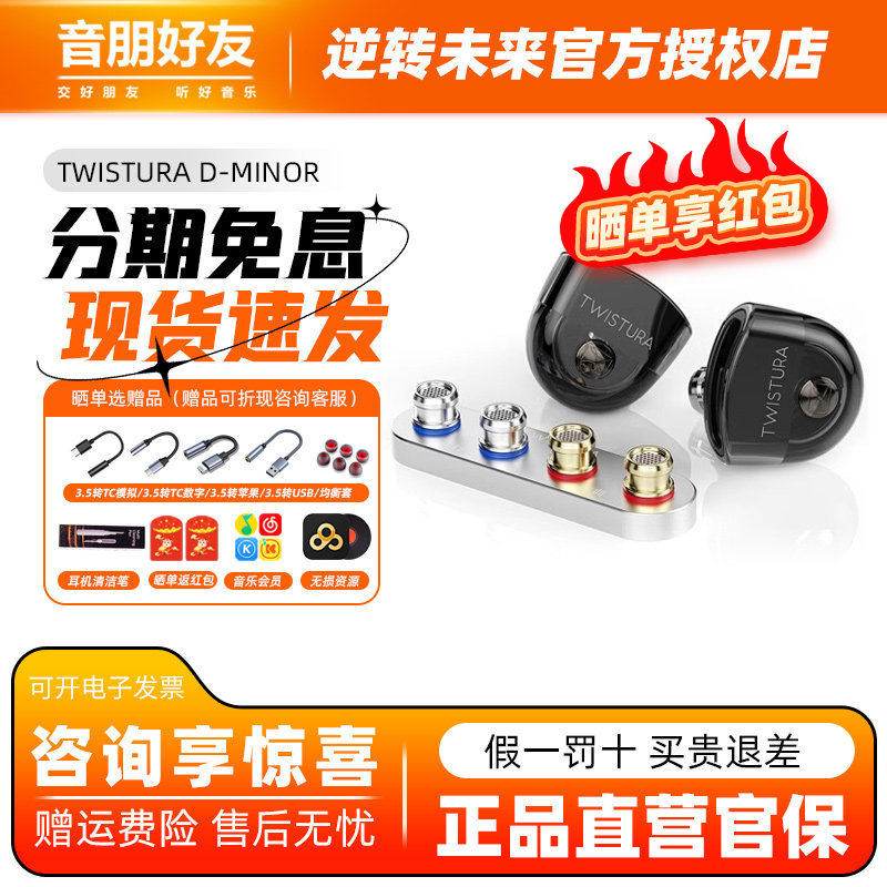 Twistura逆转未来 D-MINOR D小调 入耳式耳机可换线HiFi发烧耳塞