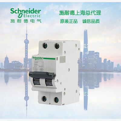 【库存现货正品】 施耐德空气断路器  A9F18202  ic65N 2P C2A