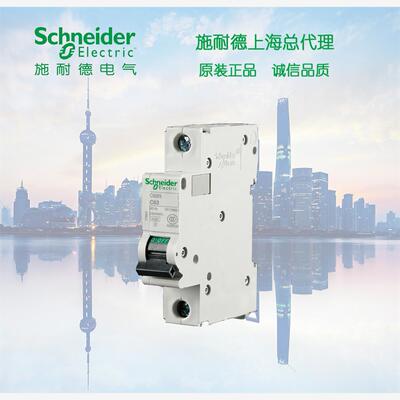 【库存现货正品】 施耐德空气断路器  A9F19102  ic65N 1P D2A