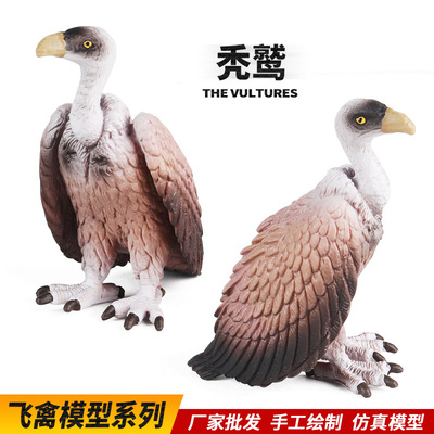 儿童仿真动物实心秃鹫座山雕鸟野生动物模型玩具认知家居蛋糕摆件