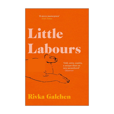 英文原版 Little Labours 小孕妇 里夫卡·加尔琴 女性小说 英文版 进口英语原版书籍