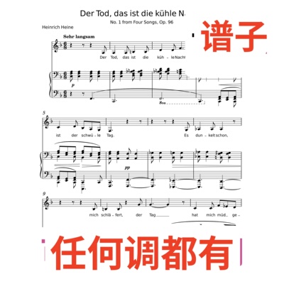 Der Tod das ist die kühle Nacht 3F伴奏谱正谱声乐