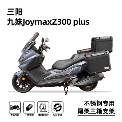 三阳九妹joymaxz300plus尾箱架