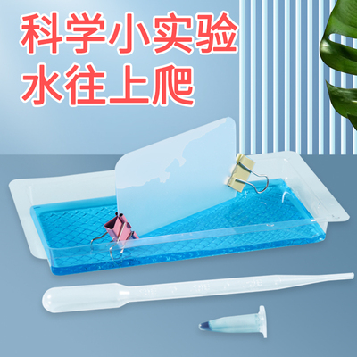 diy 水往上爬毛细现象幼儿园手工科技小制作科学课小学生实验教具