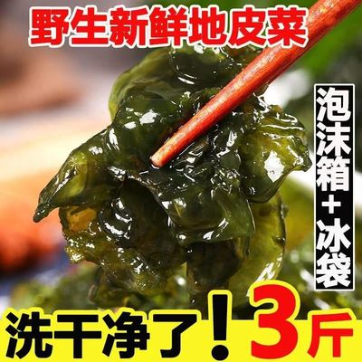 地皮菜地达菜地木耳农家野生干货土特产炒菜煲汤做包子馅料出肉多