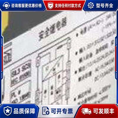 议价DINKLE台湾町洋安全继电器RESR-01-11-21-3可维修
