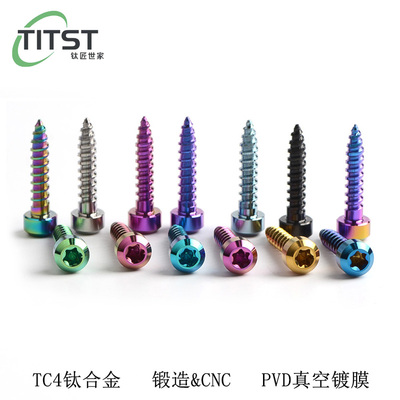 自攻丝宝鸡螺丝TITST钛合金