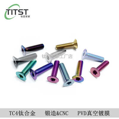 宝鸡钛合金螺丝TITST合金内梅花