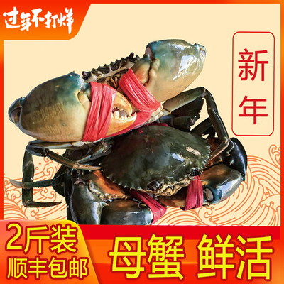 渔民母螃蟹过年好礼包顺丰