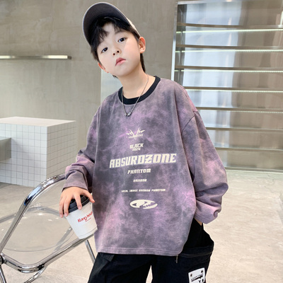 男童卫衣春秋款2025新款