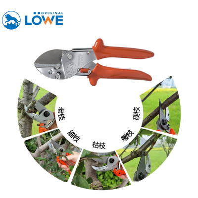 德国进口狮牌修枝剪LOWE1.104/107铁砧剪果树剪硬枝粗枝剪果枝剪