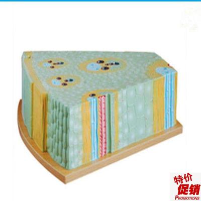 植物模型玉米茎单子叶植物茎构造纵横H切面细胞组织生物教学模型