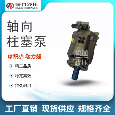 宁波恒力HL-A10VSO18245